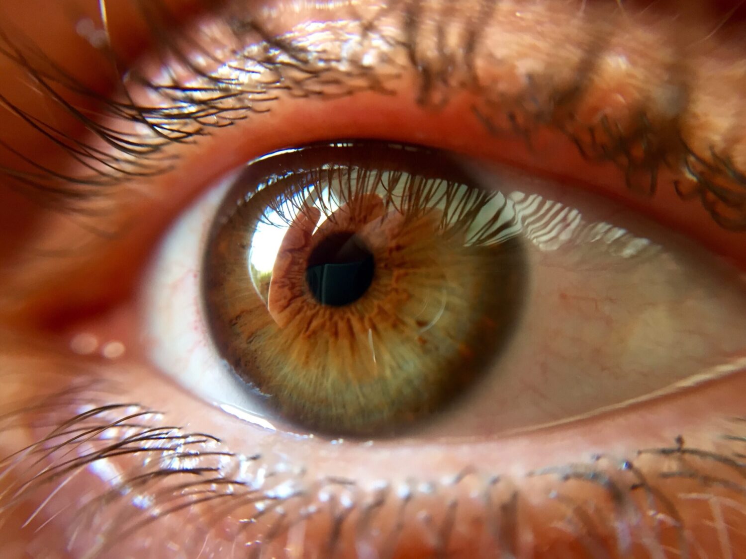 The National Low Vision Centre Publishes International Vision 